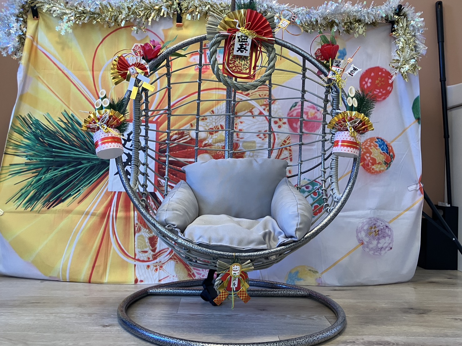 本日、年内最後の室内ドッグランを開催しています - 癒しの杜～こうご動物病院付属TAMA統合医療センター～